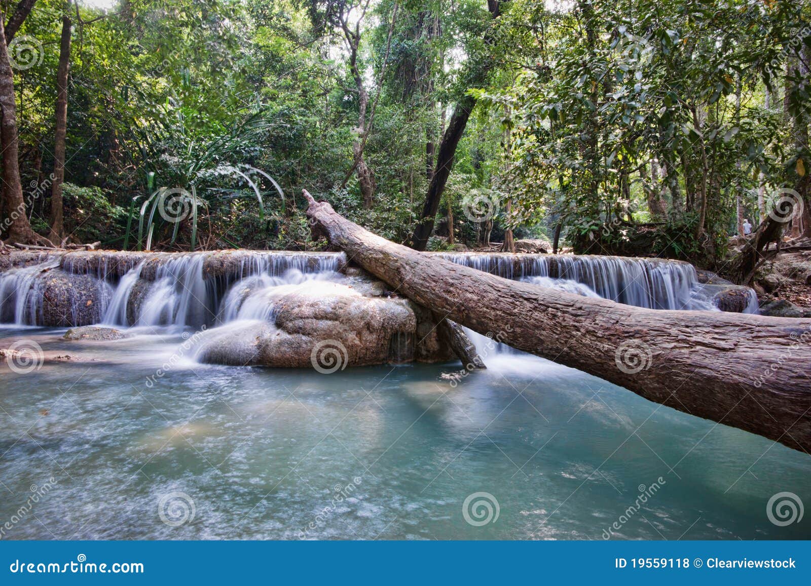 Beautiful Waterfall Cascades Stock Photo - Image of scenic, park: 19559118