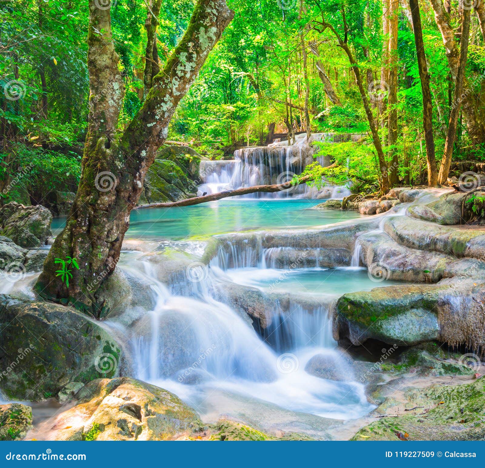 Beautiful Waterfall in Deep Forest Stock Image - Image of clean, fluid ...