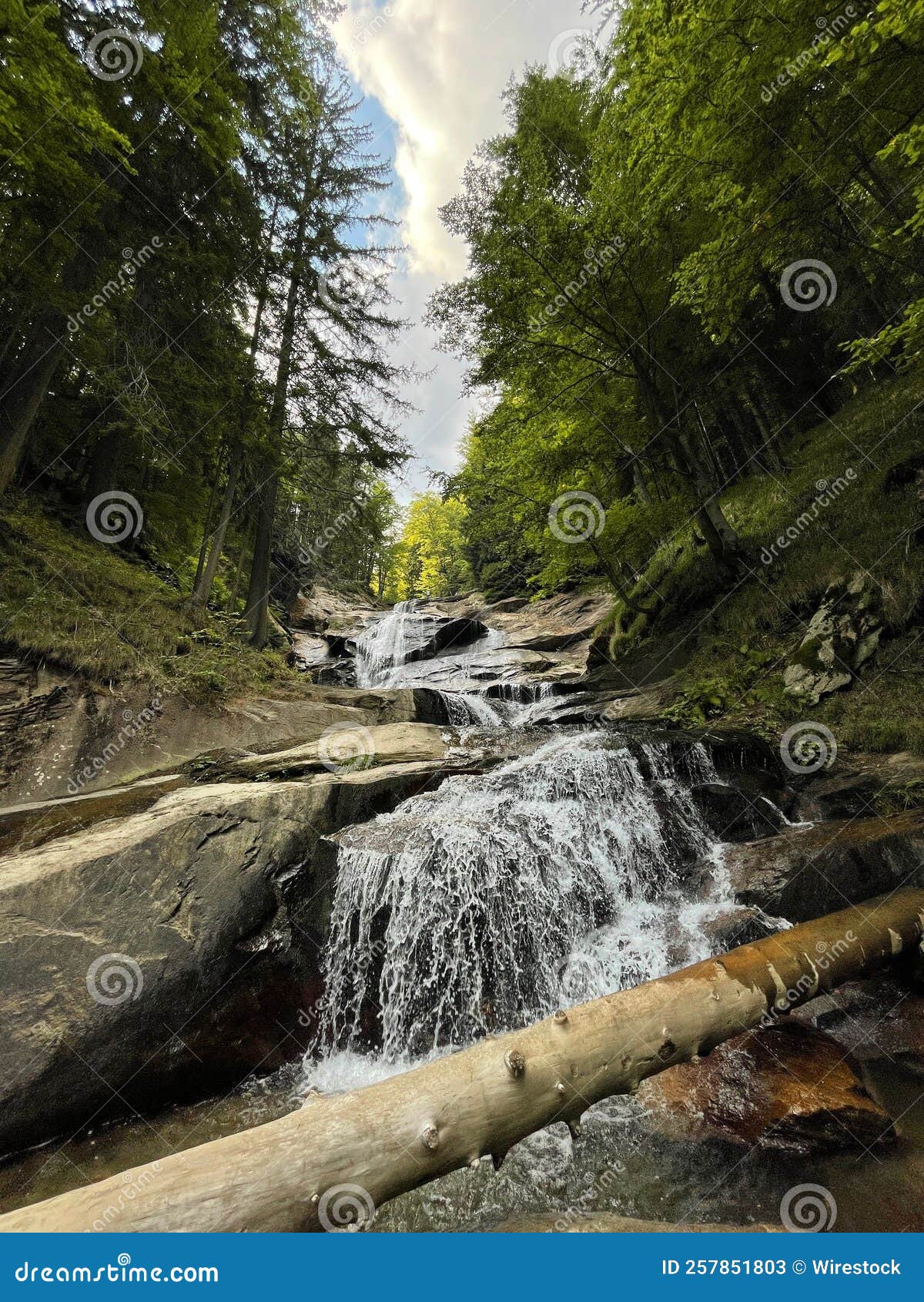Beautiful Waterfall Flowing Down the Rocks in a Forest Stock Image ...