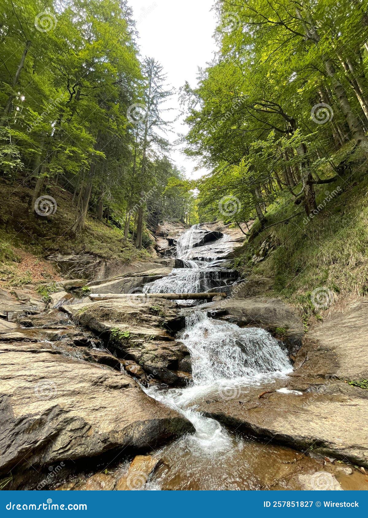 Beautiful Waterfall Flowing Down the Rocks in a Forest Stock Image ...