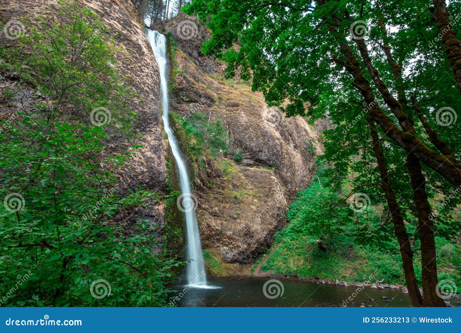 Beautiful Waterfall Flowing Downstream in a Forest Stock Image - Image ...