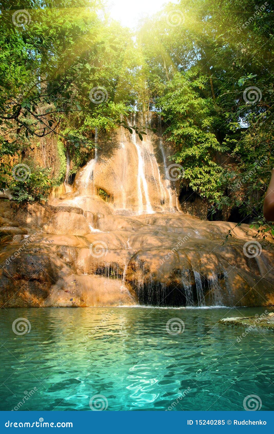 Beautiful Waterfall in Forest Stock Image - Image of nature, branch ...