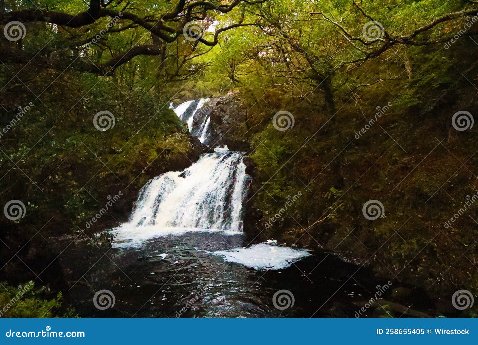 Beautiful Waterfall in a Forest Stock Image - Image of cascade, park ...