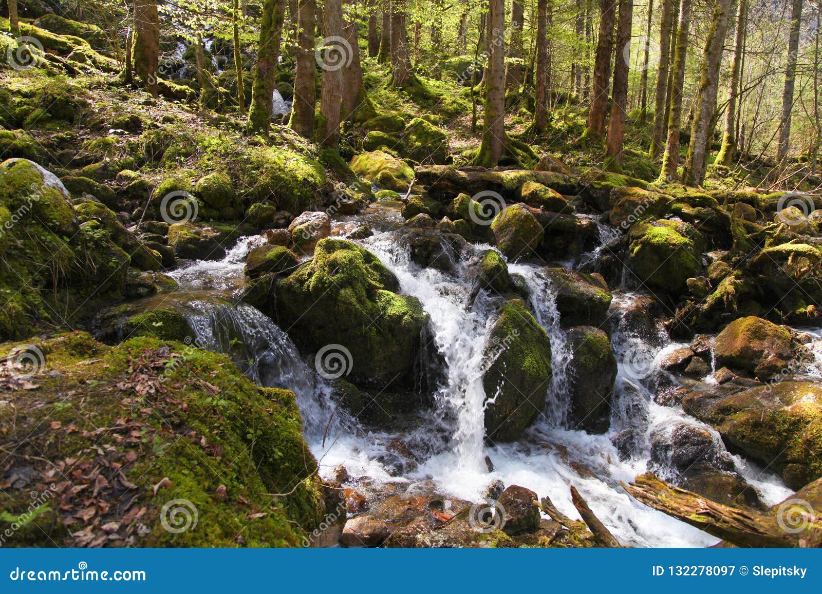 Beautiful Waterfall in the Forest Stock Image - Image of nature ...