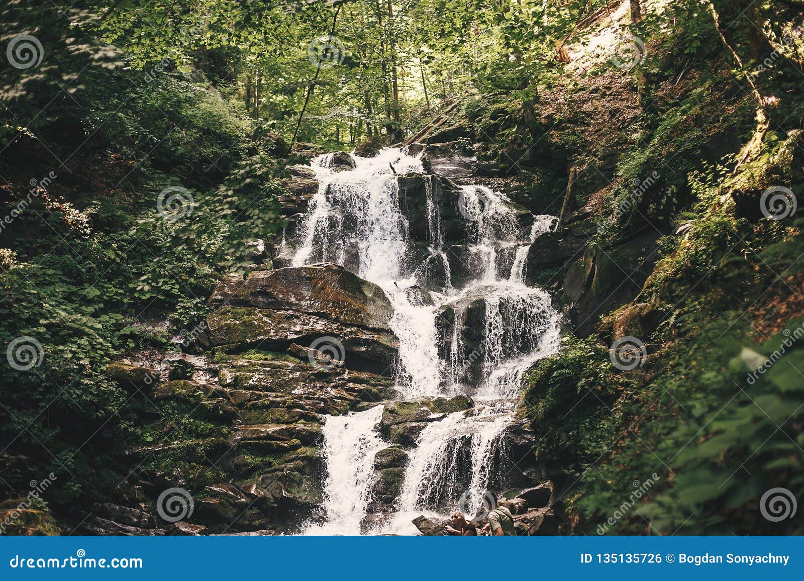 Beautiful Waterfall in Forest in Mountains with Cascade with Flowing ...