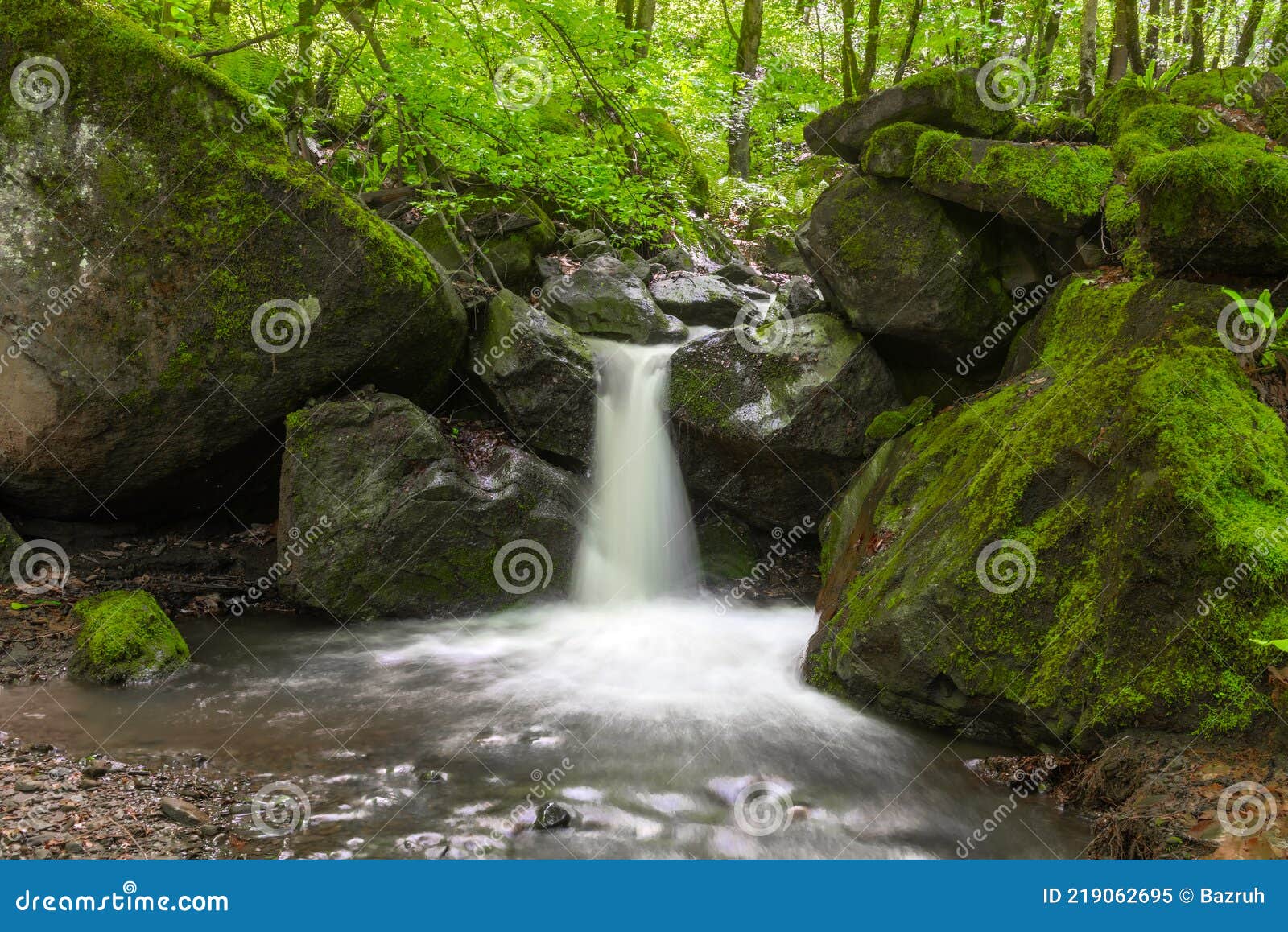 Beautiful Waterfall in the Green Forest Stock Image - Image of ...