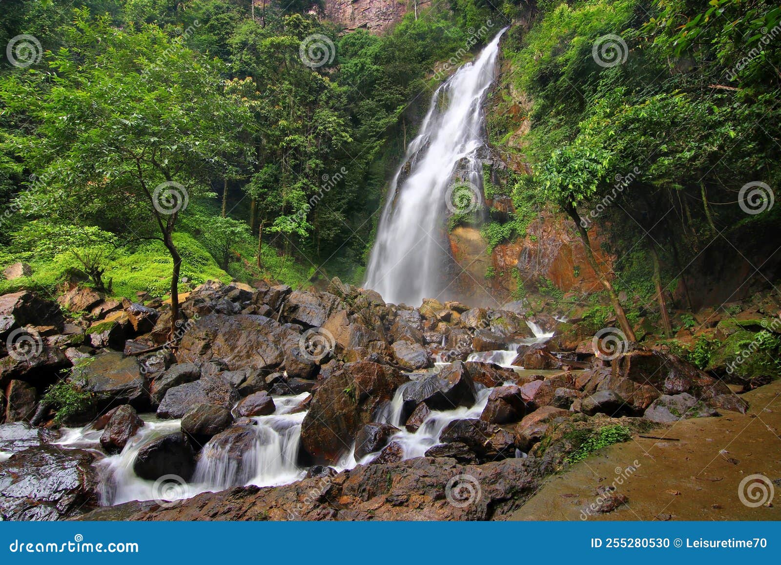 Beautiful Waterfall in Green Forest Stock Photo - Image of paradise ...