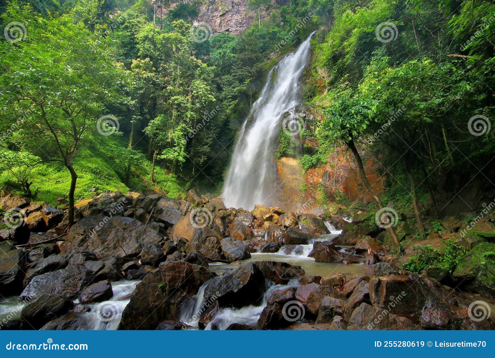Beautiful Waterfall in Green Forest Stock Image - Image of waterfall ...