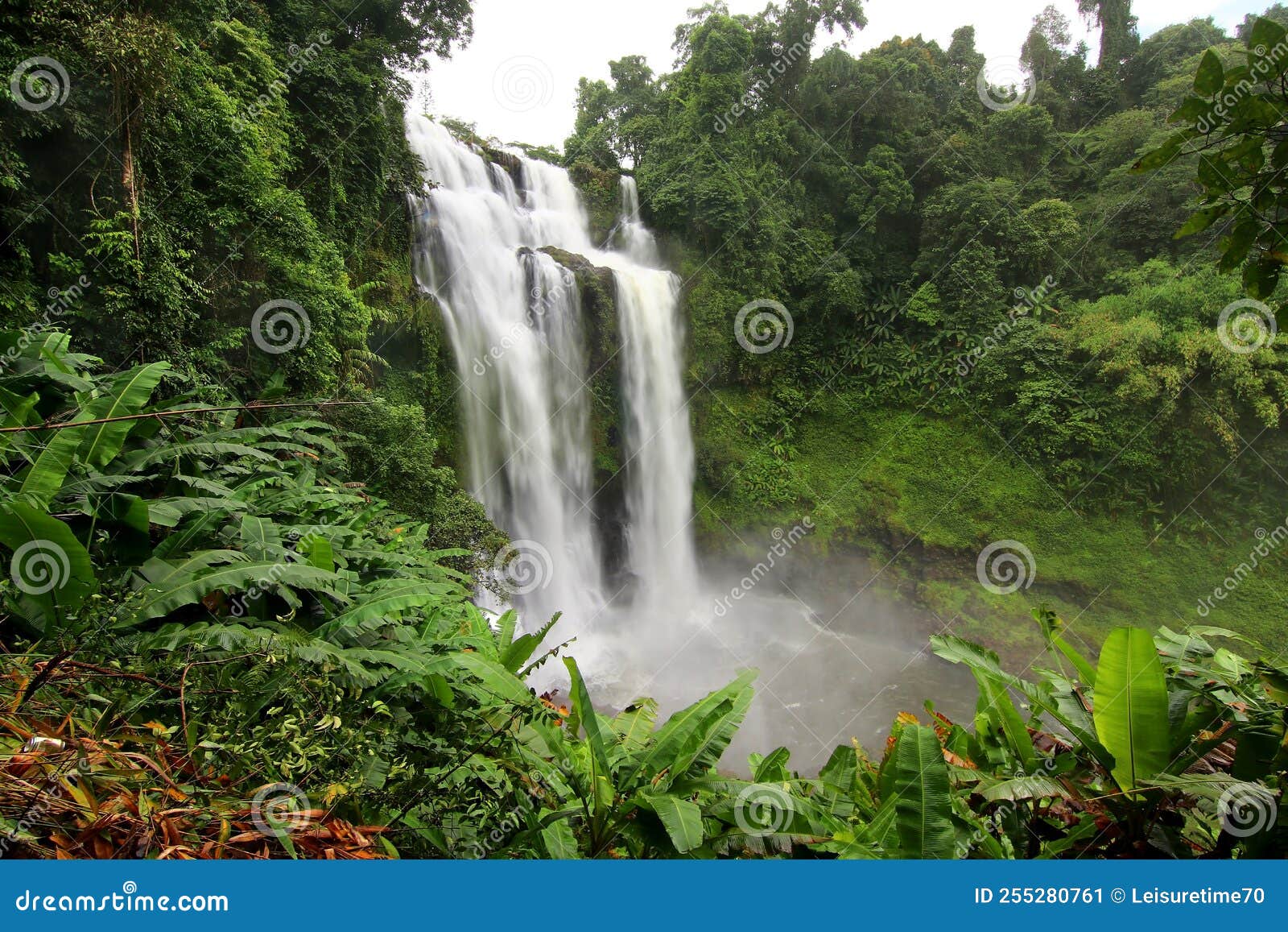 Beautiful Waterfall in Green Forest Stock Image - Image of green ...