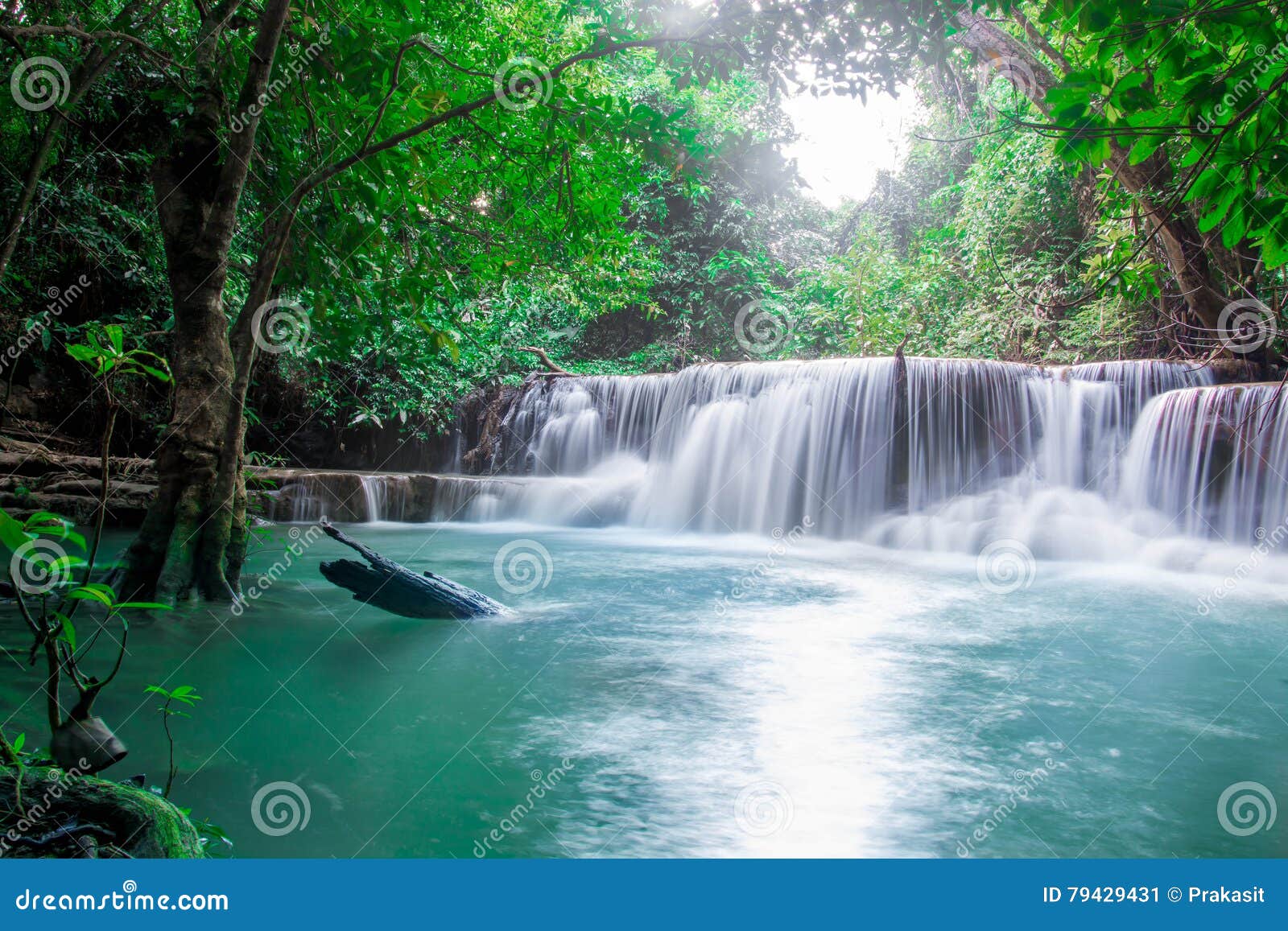 Beautiful Waterfall and Green Forest Resting Place and Relax Tim Stock ...