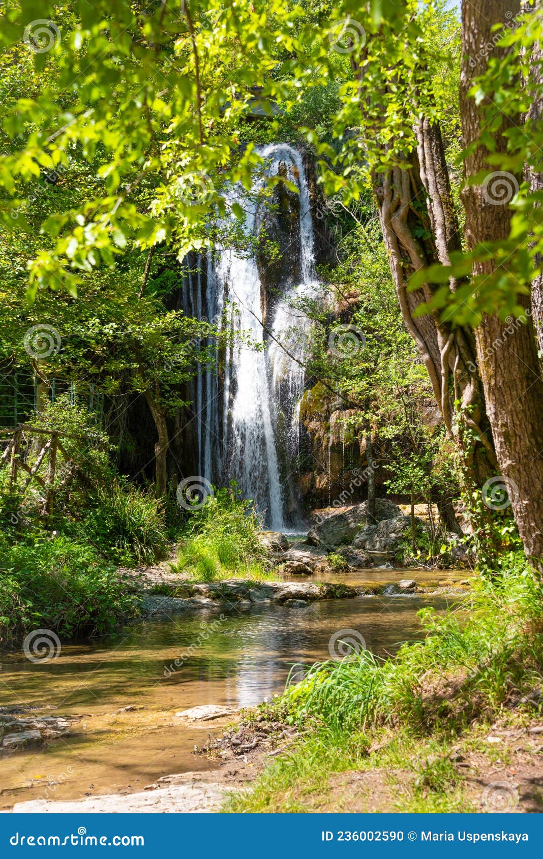 Beautiful Waterfall in Green Forest among Trees Stock Photo - Image of ...