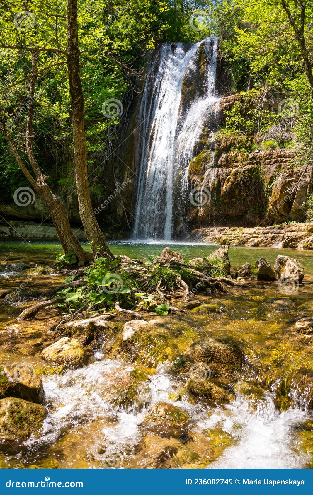 Beautiful Waterfall in Green Forest among Trees Stock Image - Image of ...