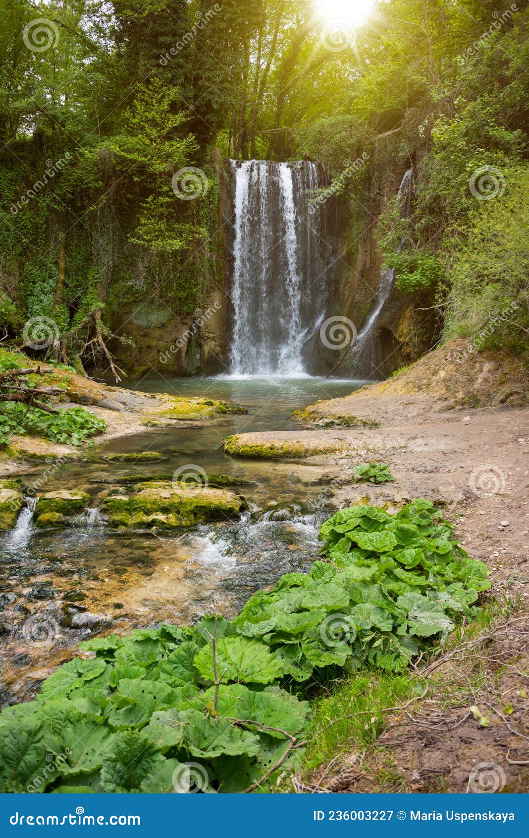 Beautiful Waterfall in Green Forest among Trees Stock Image - Image of ...