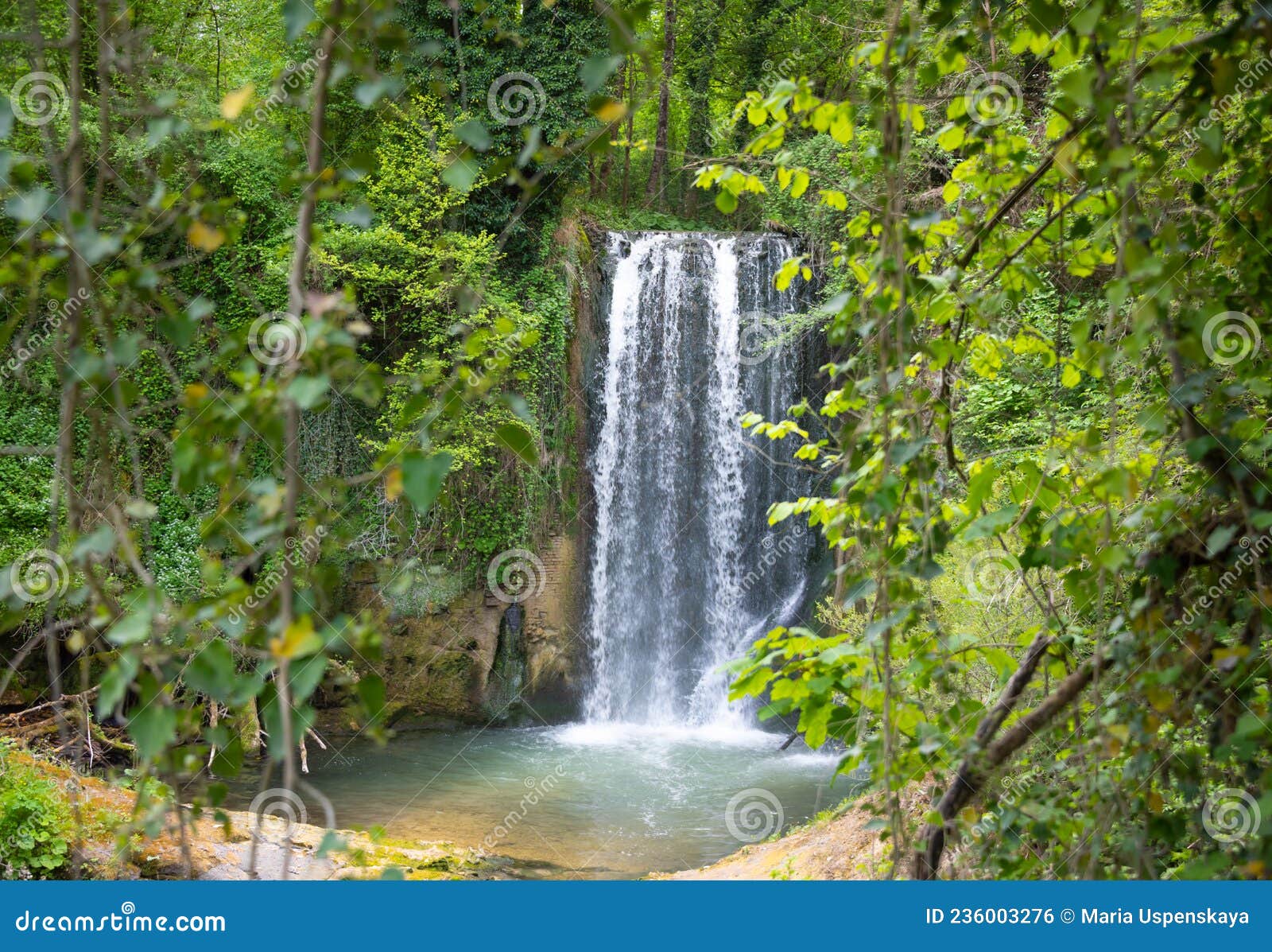 Beautiful Waterfall in Green Forest among Trees Stock Photo - Image of ...