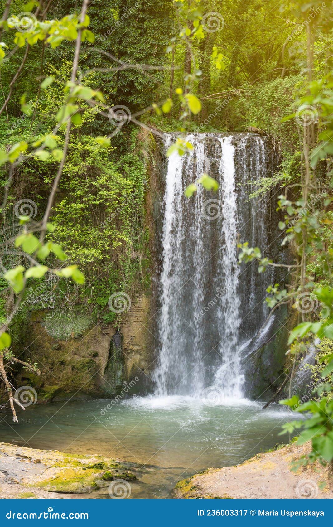 Beautiful Waterfall in Green Forest among Trees Stock Image - Image of ...