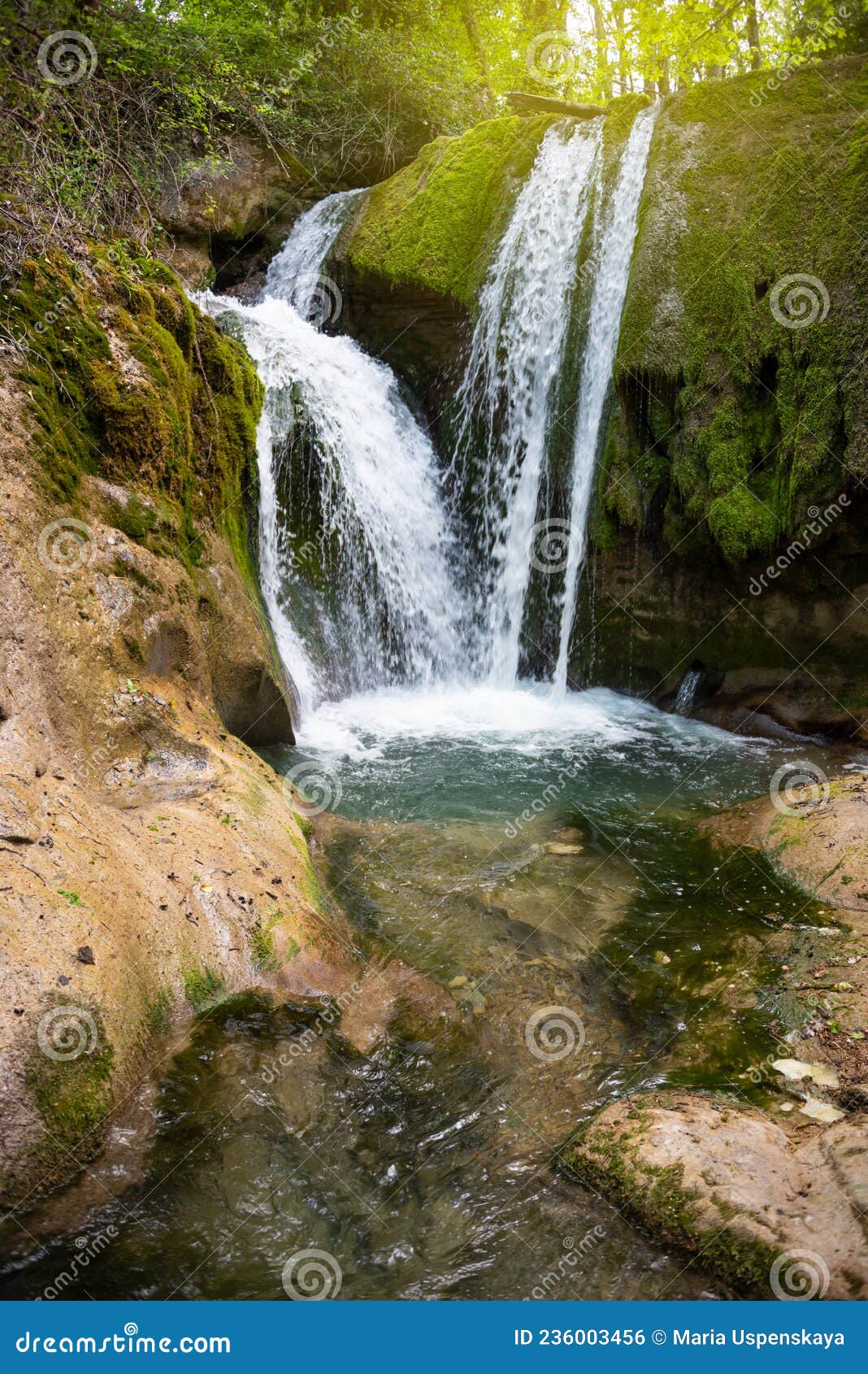 Beautiful Waterfall in Green Forest among Trees Stock Photo - Image of ...