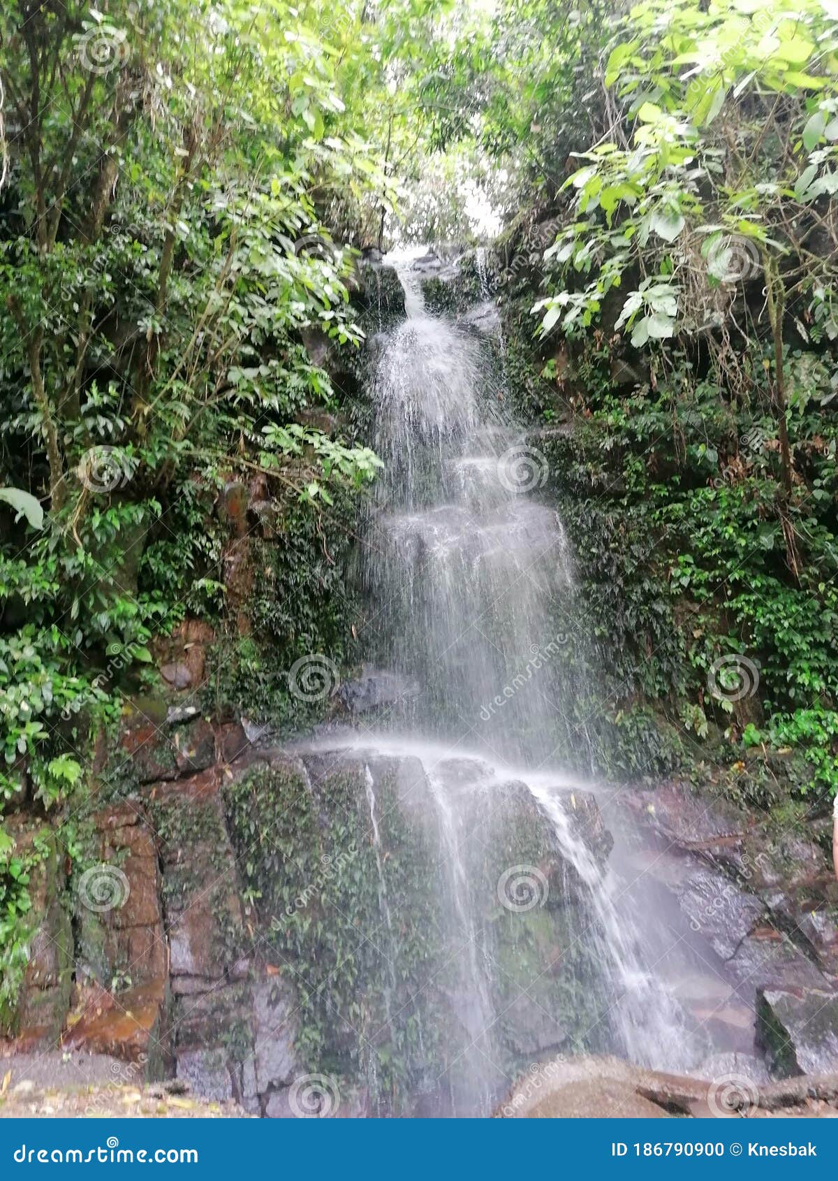Beautiful Waterfall Inside the Rainforest Stock Photo - Image of rapid ...