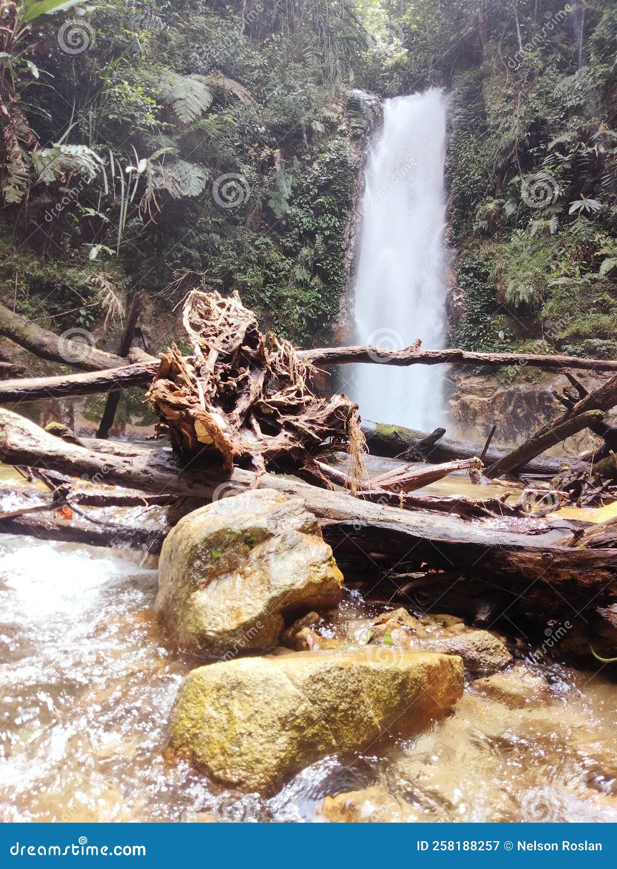 Beautiful Waterfall at the Jungle Stock Image - Image of jungle, river ...