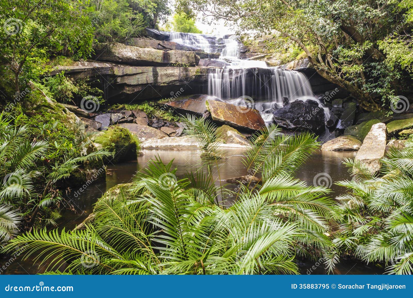 Beautiful Waterfall in the Jungle. Stock Image - Image of foliage ...