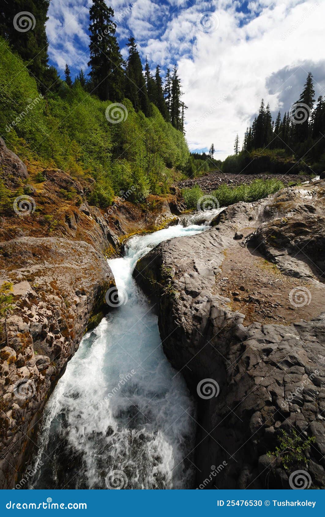 Beautiful Waterfall in Lava Canyon Stock Photo - Image of cascade ...