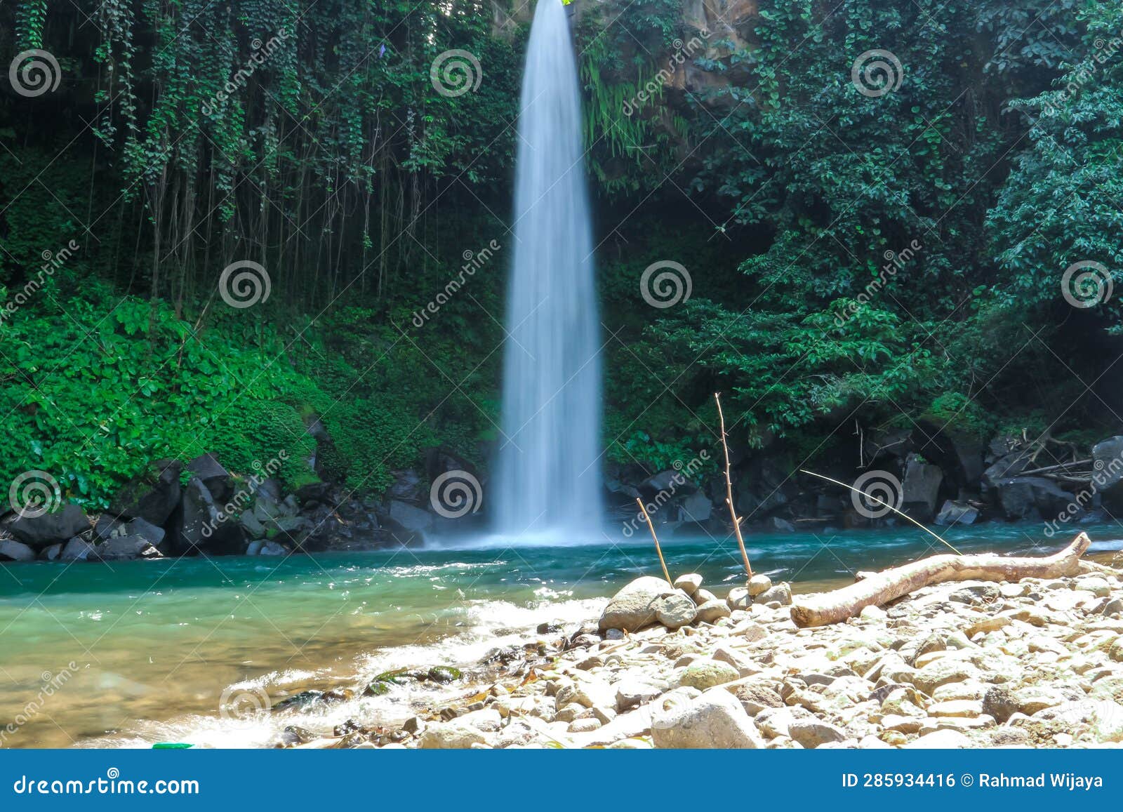 Beautiful Waterfall in the Middle of the Forest in the Rainforest Stock ...