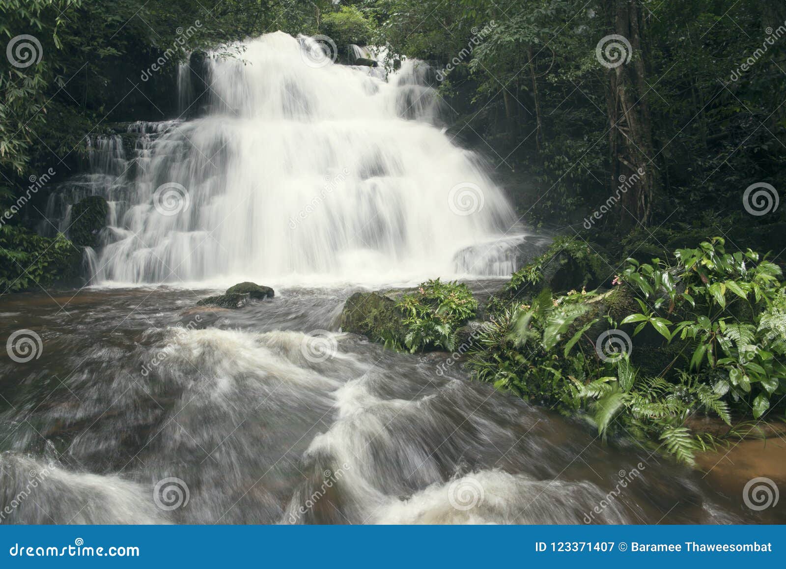 Beautiful Waterfall in Rainforest, Ecological System Stock Image ...