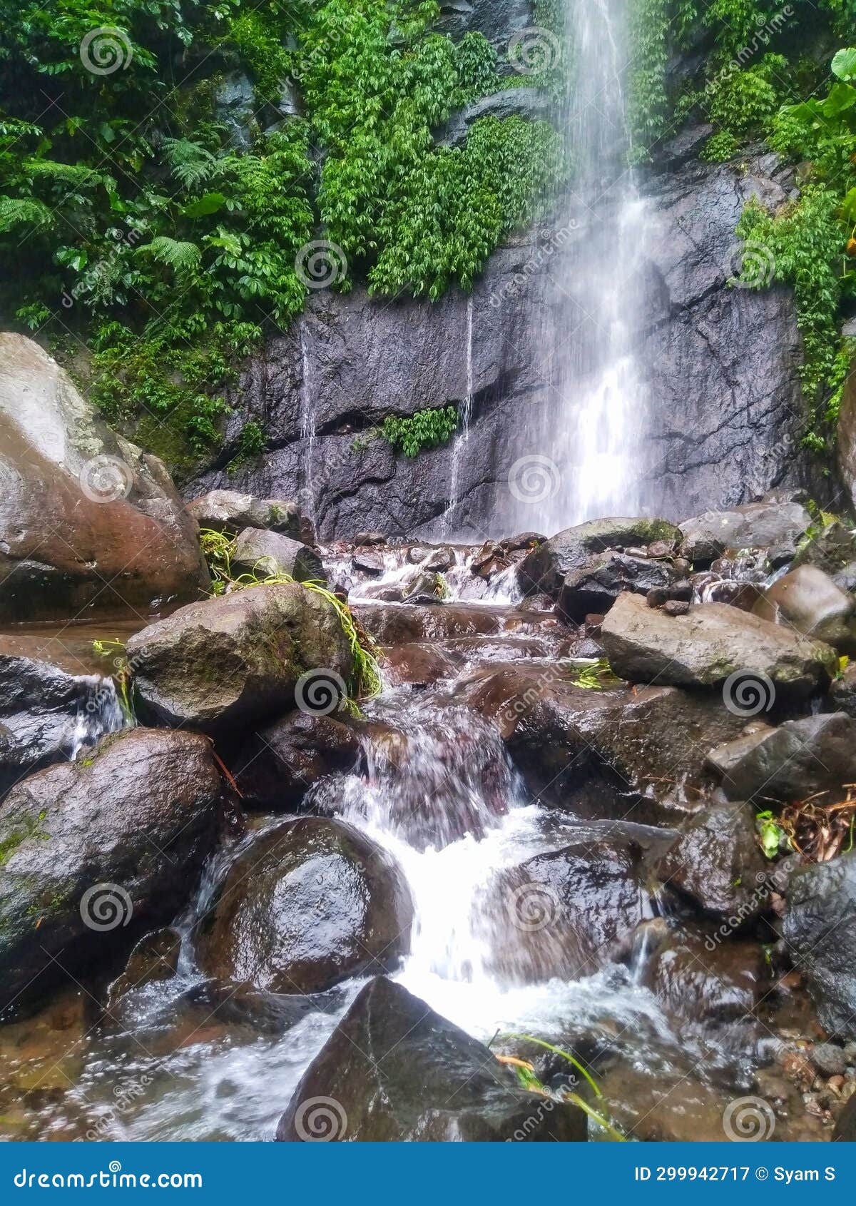 Beautiful Waterfall and Rocks Below Stock Image - Image of jungle ...