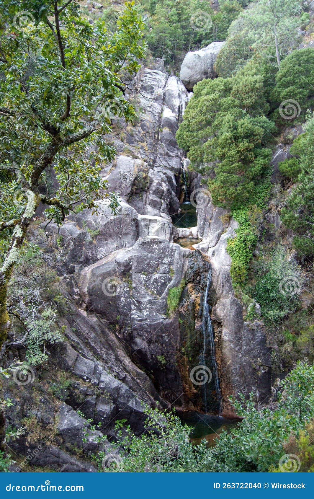Beautiful Waterfall from a Rocky Cliff in a Jungle Stock Photo - Image ...