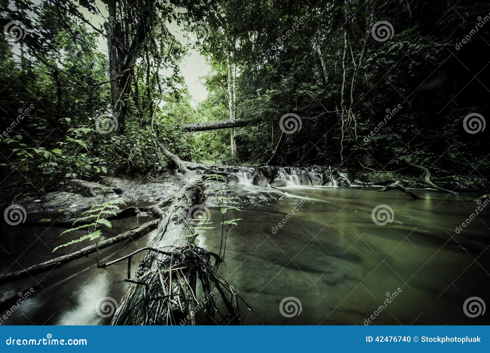 A Beautiful Waterfall Shot with a Slow Exposure Stock Photo - Image of ...