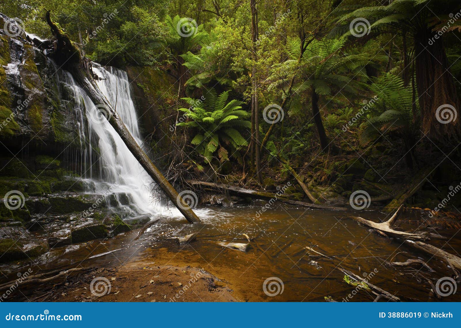Beautiful Waterfall stock image. Image of beauty, creek - 38886019