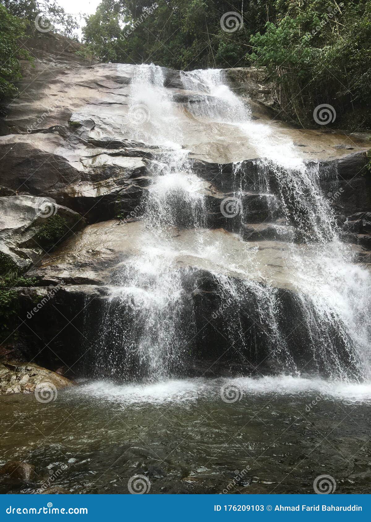 Refreshing nature stock image. Image of lush, refreshing - 176209103