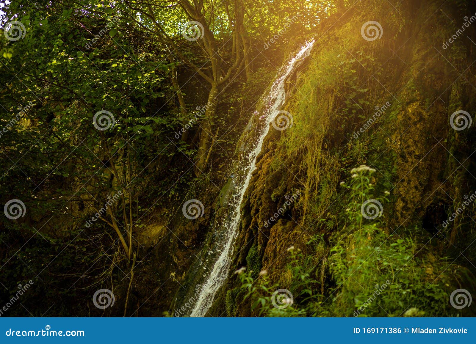Beautiful Waterfall in Sunny Day Stock Photo - Image of idyllic, creek ...