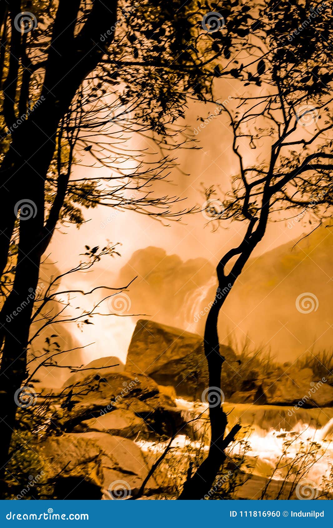 Beautiful Waterfall with Tree Shadows Stock Photo - Image of tree ...