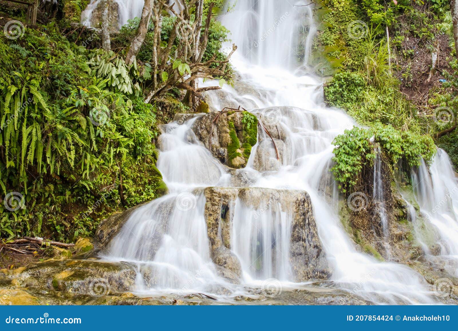 The Beautiful Waterfall and Trees with Great Atmosphere Stock Photo ...