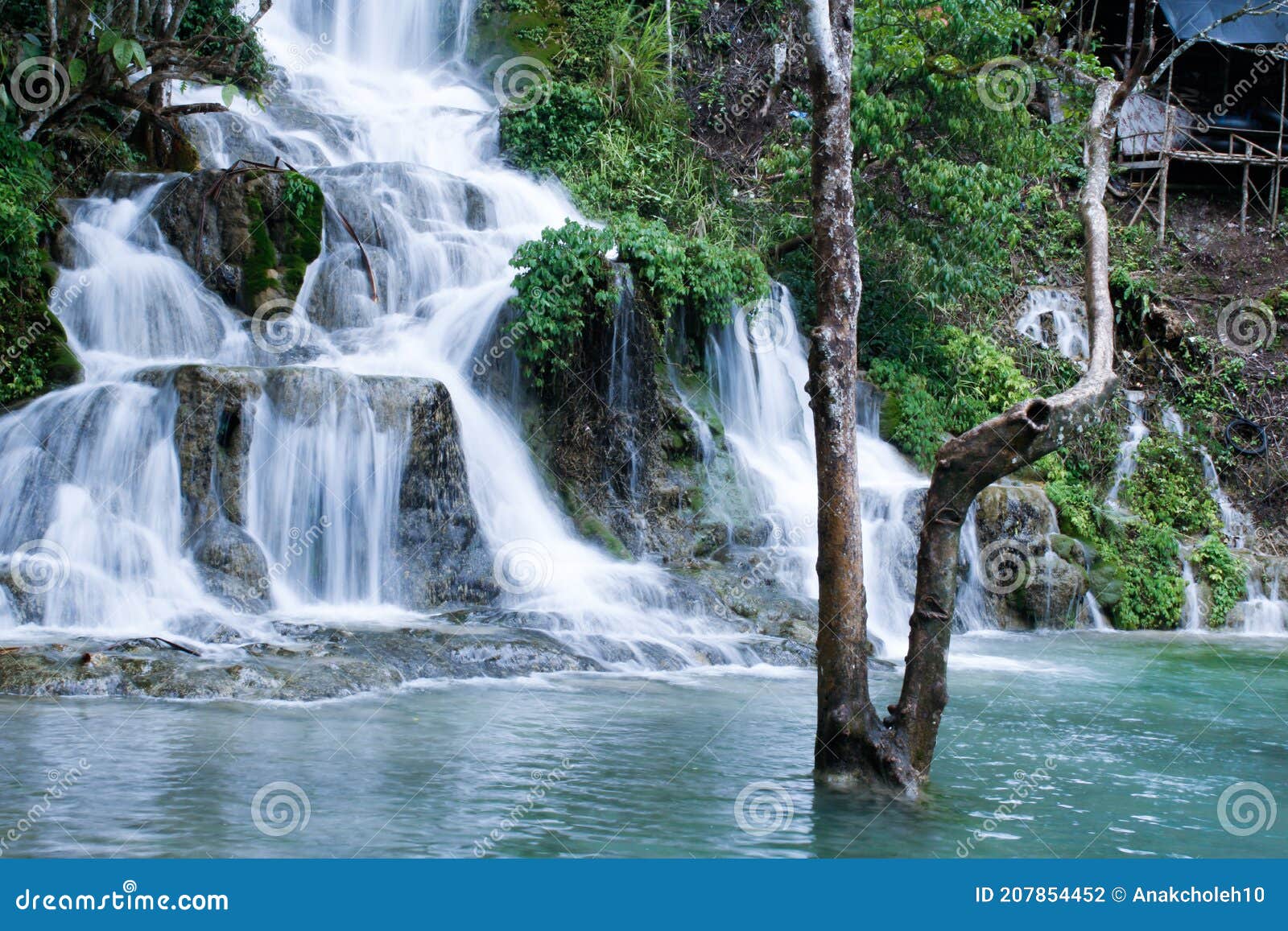 The Beautiful Waterfall and Trees with Great Atmosphere Stock Photo ...