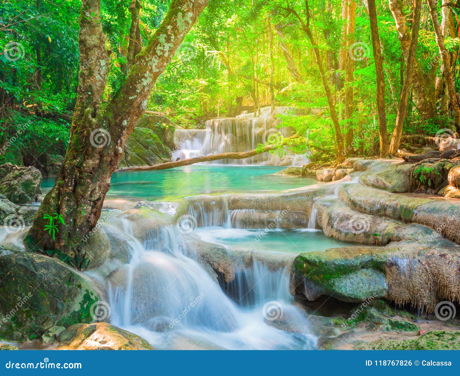 Tropical Rainforests Waterfalls