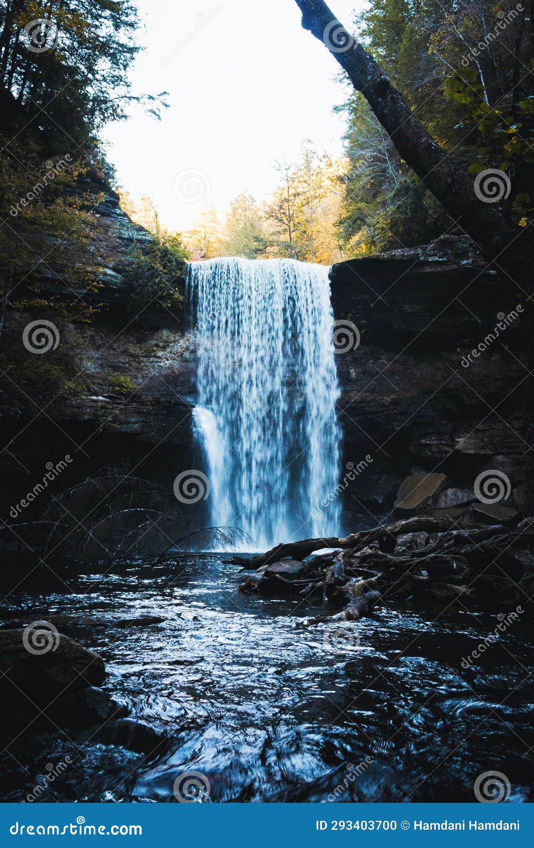 Beautiful Waterfall View at the Forest. Clean and Fresh Water Stock ...