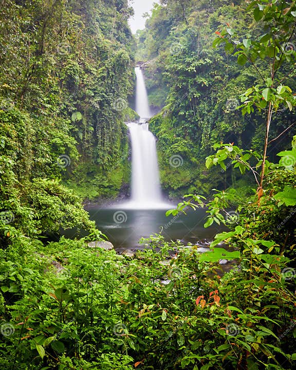Beautiful Waterfall. West Sumatra, Indonesia Editorial Stock Photo ...