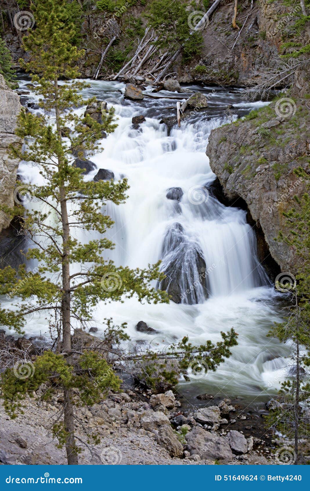Beautiful Waterfall in Yellowstone National Park. Stock Photo - Image ...