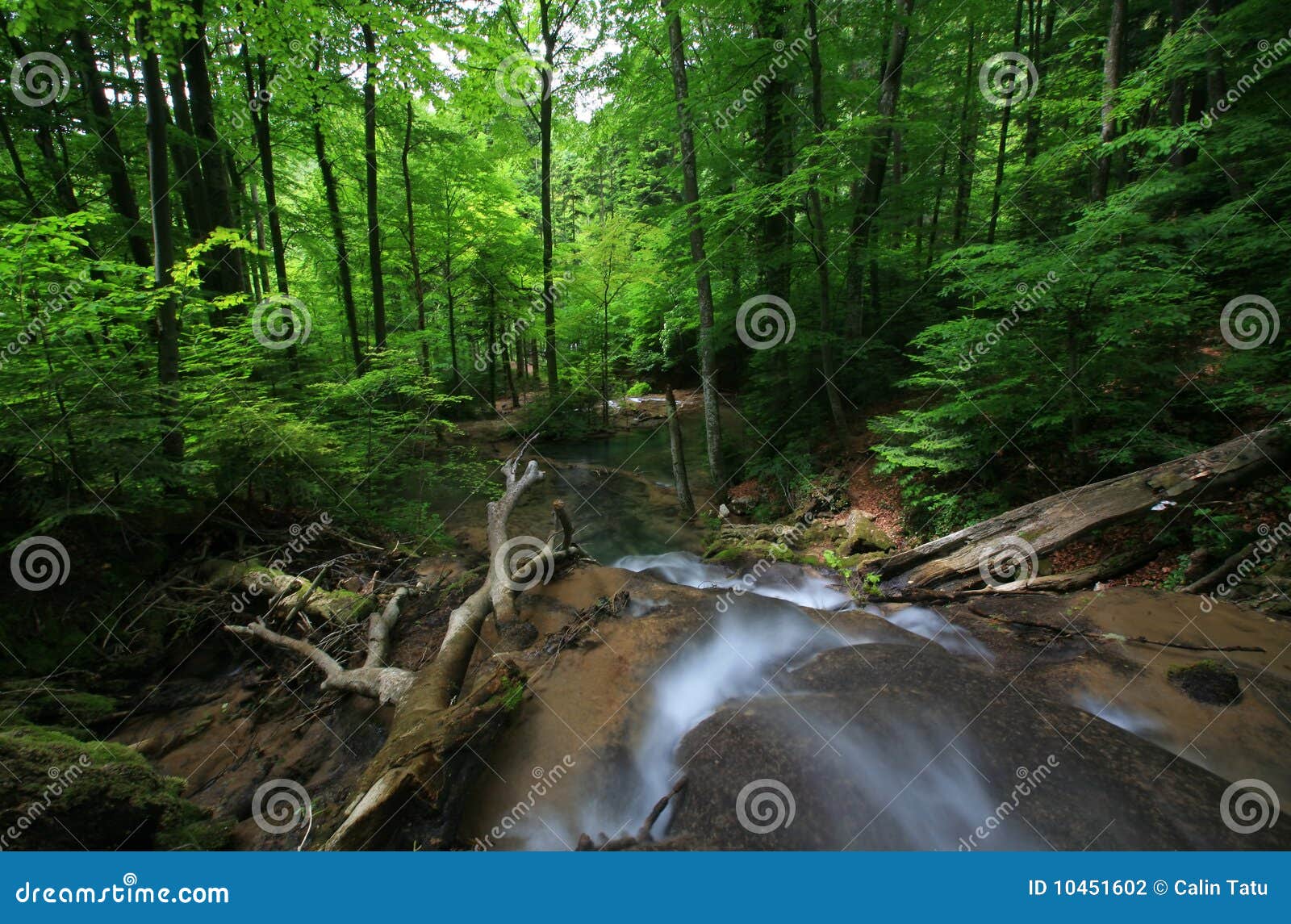 Beautiful Waterfalls in Spring Stock Photo - Image of crystal, stream ...