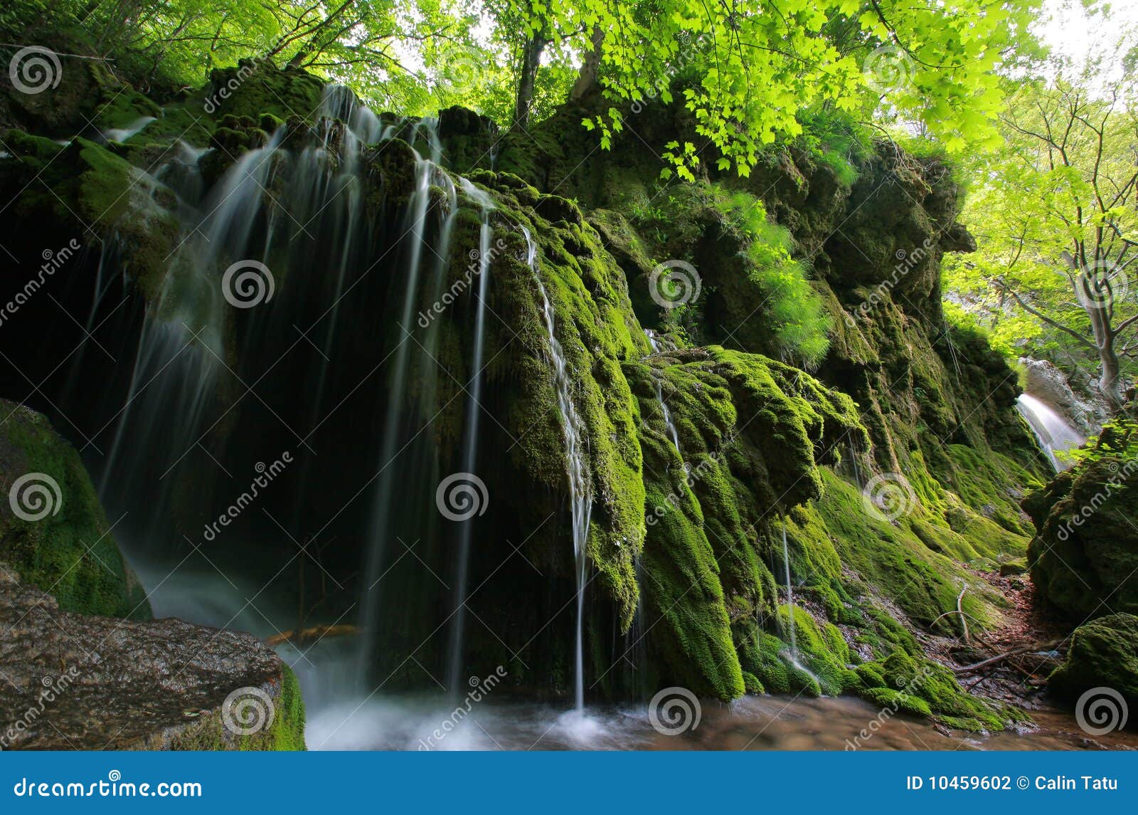 Beautiful Waterfalls in Spring Stock Photo - Image of pristine, cascade ...