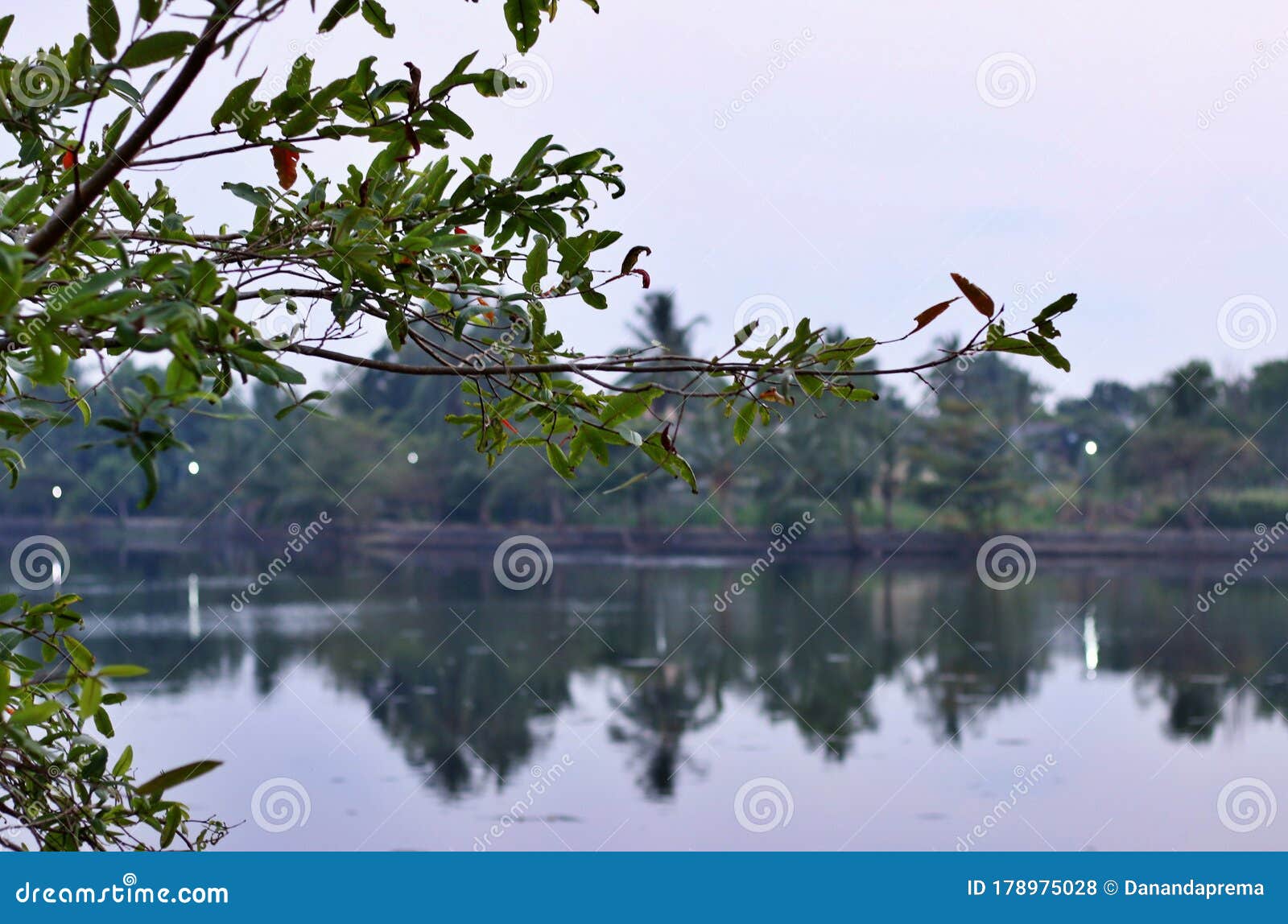 Beautiful Waterfront Scenery in a Rural Area Stock Photo - Image of ...