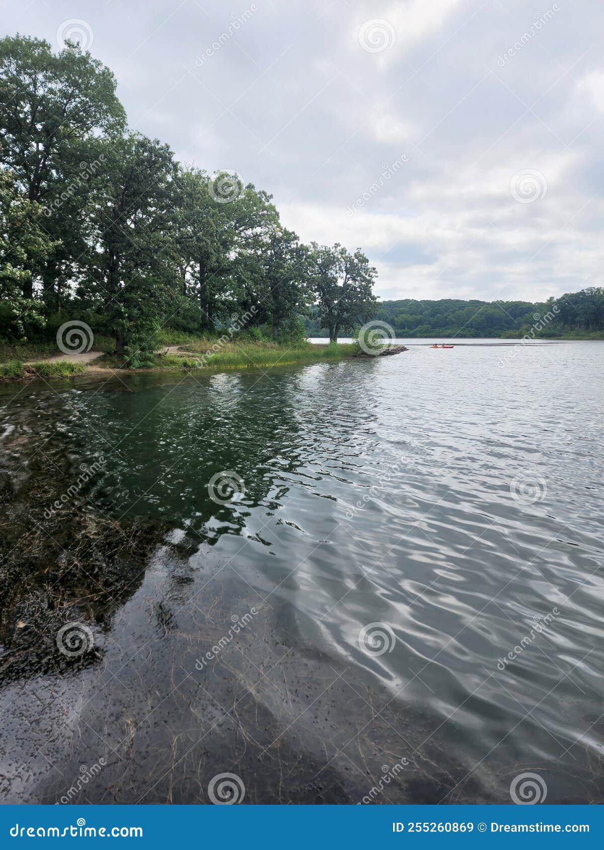 Beautiful waterfront view stock image. Image of tree - 255260869