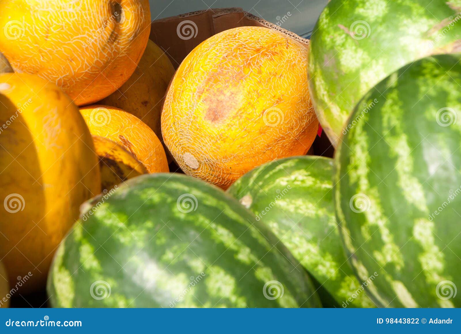 Beautiful Watermelons with Melons on a Counter Stock Photo - Image of ...