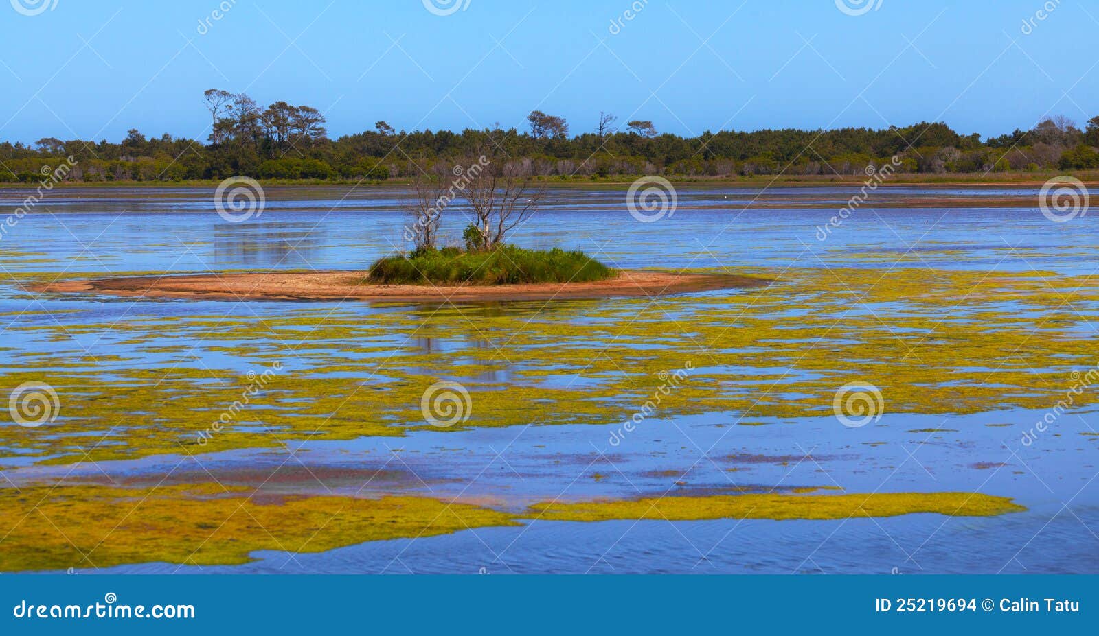 Beautiful Watershed and Marsh Scenery Stock Photo - Image of ...
