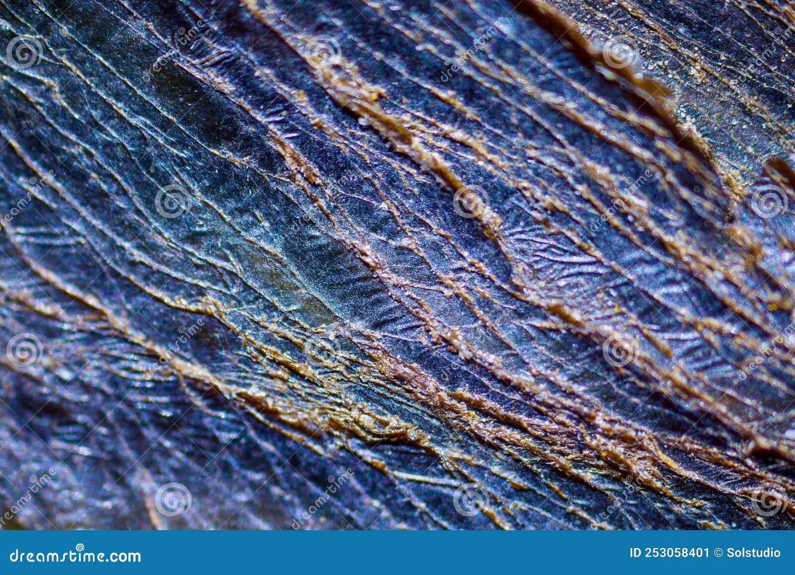 Beautiful Wave Pattern Texture Stock Image - Image of motherofpearl ...