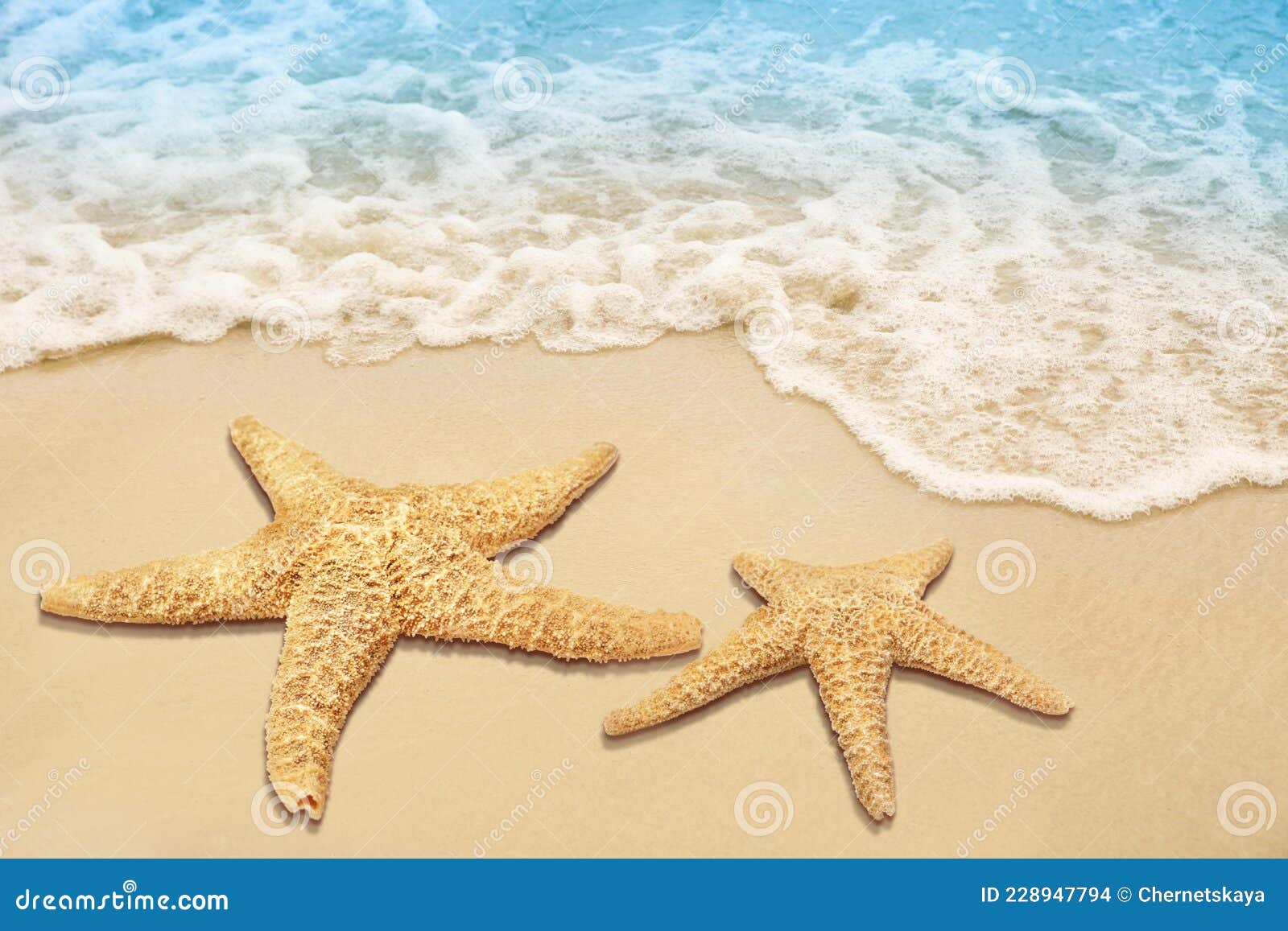 Beautiful Waves and Sea Stars on Sandy Beach Stock Photo - Image of ...