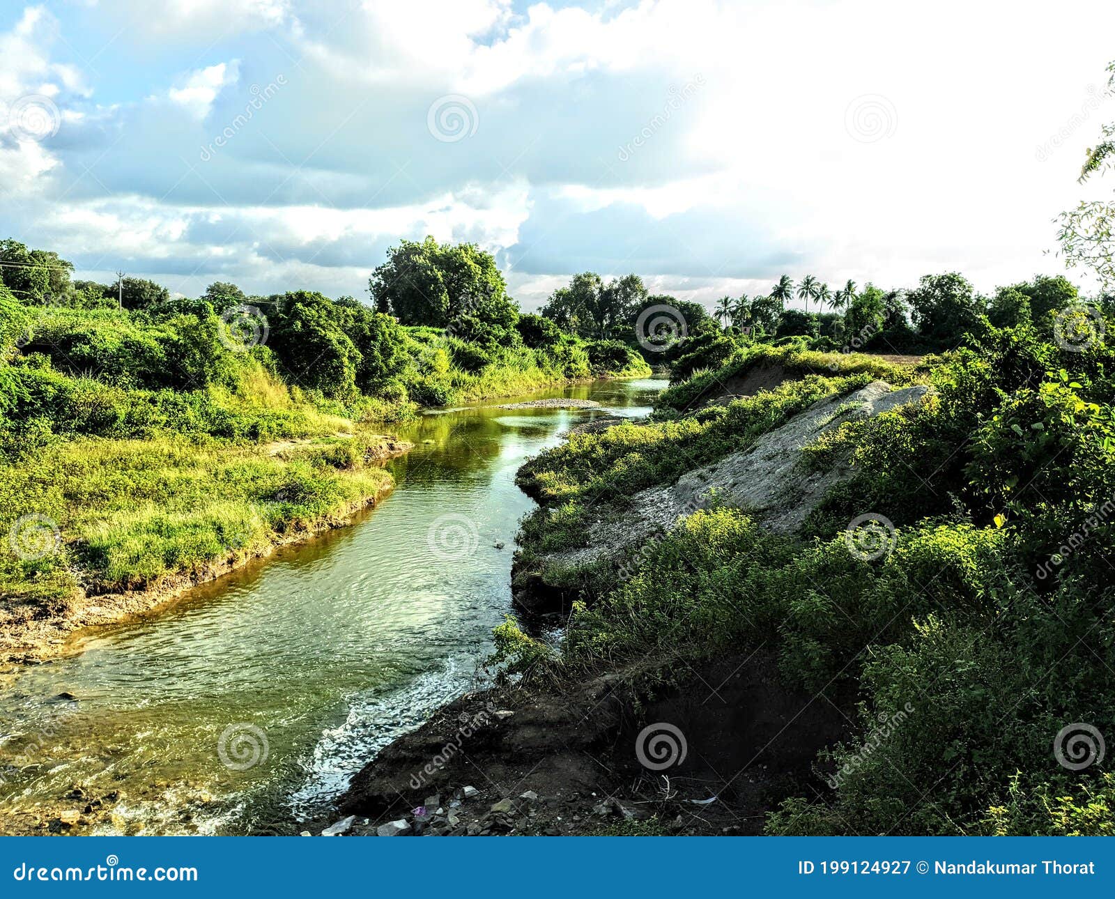 Beautiful Weather and Water Stock Image - Image of nature, flower ...