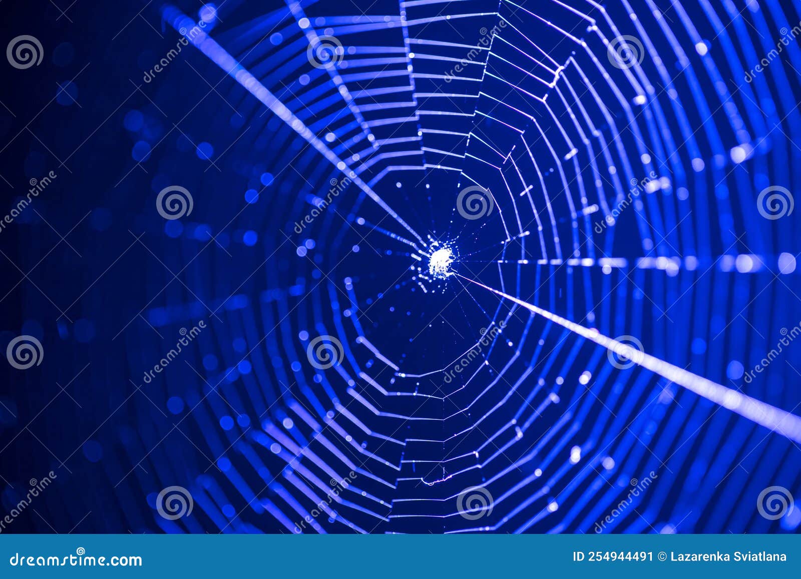 Beautiful Web Illuminated by Blue Light Stock Image - Image of chart ...