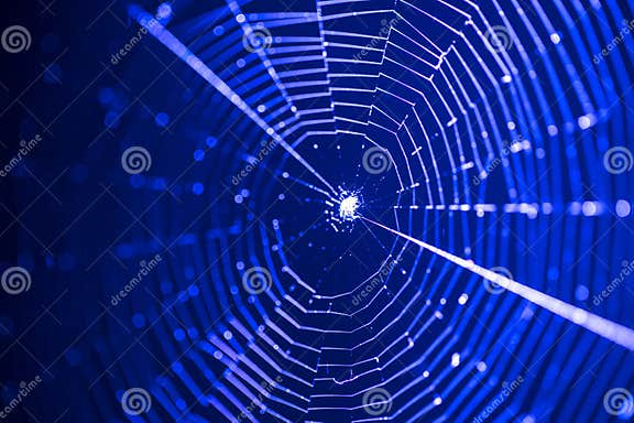 Beautiful Web Illuminated by Blue Light Stock Image - Image of chart ...